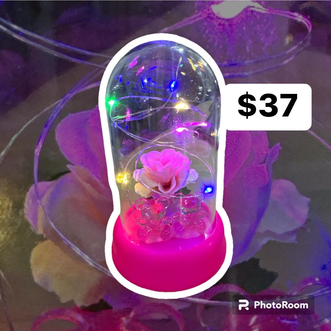 Mini Rosa Eterna